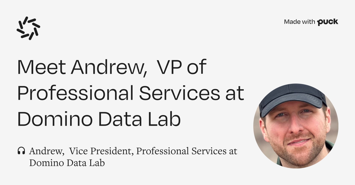 Meet Andrew, Vice President, Professional Services at Domino Data Lab ...