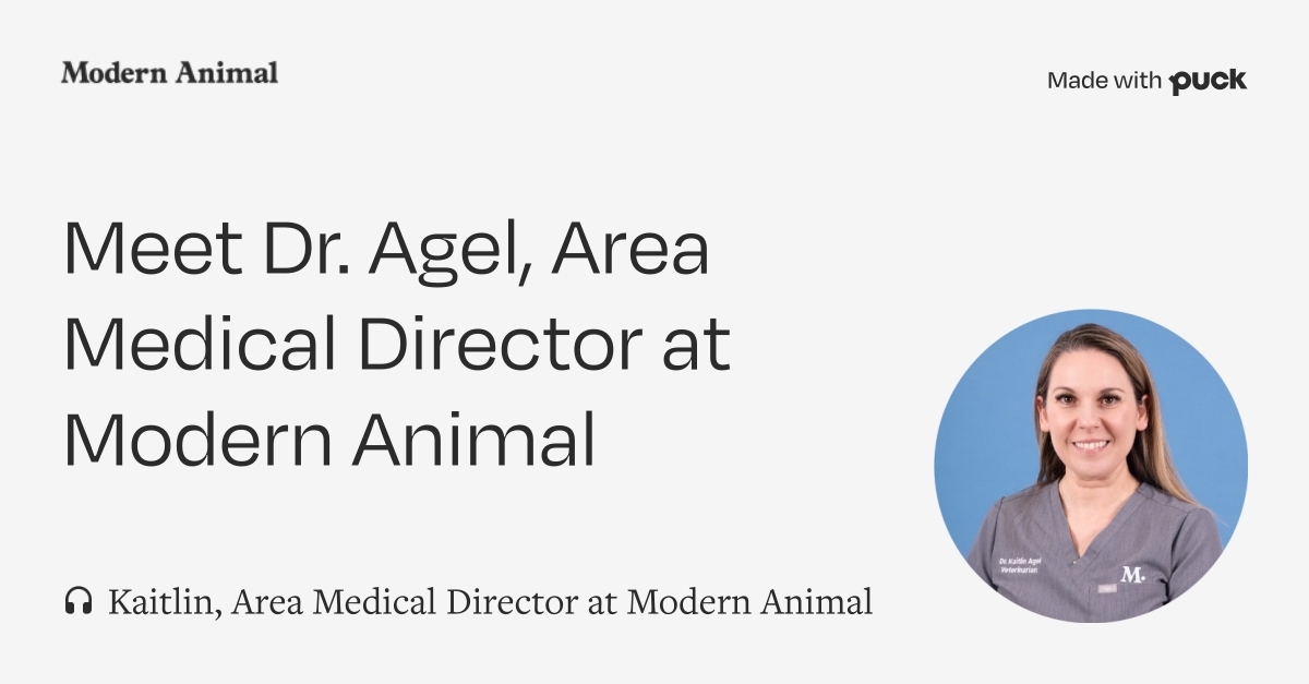 Meet Kaitlin, Area Medical Director at Modern Animal, Employer Branding